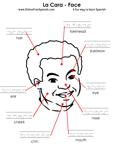 Spanish Coloring Pages – onlinefreespanish