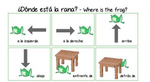 ¿Dónde está la rana? – Where is the frog? – onlinefreespanish